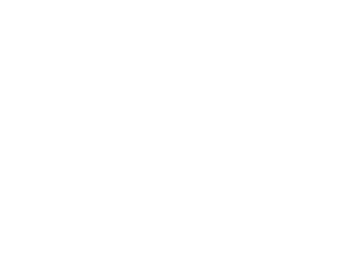 About – Bumblebee EV